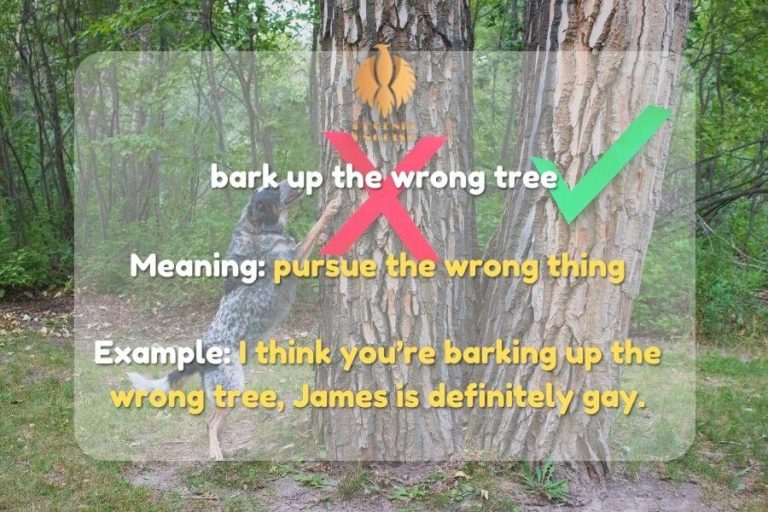 Complete list of Hunting Phrases and Idioms - Phoenix English