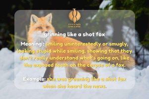 Complete list of Hunting Phrases and Idioms - Phoenix English