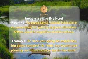 Complete list of Hunting Phrases and Idioms - Phoenix English