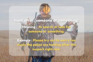 Complete list of Hunting Phrases and Idioms - Phoenix English