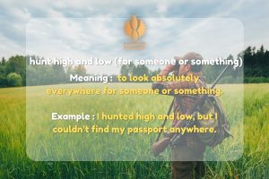 Complete list of Hunting Phrases and Idioms - Phoenix English