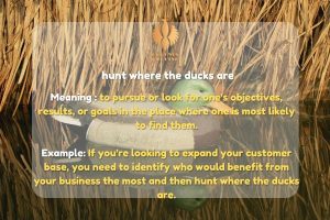 Complete list of Hunting Phrases and Idioms - Phoenix English