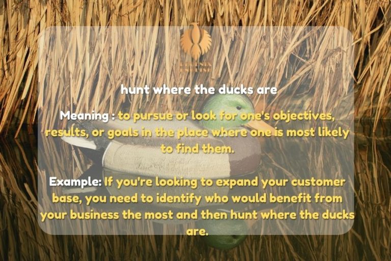 Complete list of Hunting Phrases and Idioms - Phoenix English