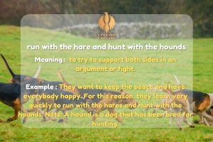 Complete list of Hunting Phrases and Idioms - Phoenix English