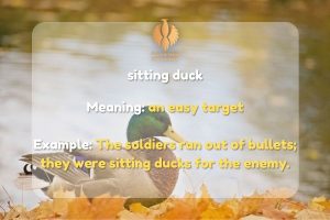Complete list of Hunting Phrases and Idioms - Phoenix English