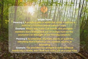 Complete list of Hunting Phrases and Idioms - Phoenix English