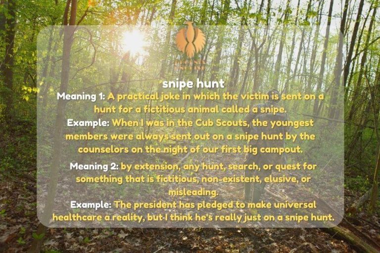 Complete list of Hunting Phrases and Idioms - Phoenix English