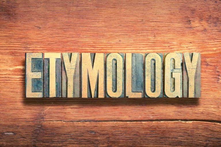 Business vs Busyness – All you Need to Know + Examples - Phoenix English