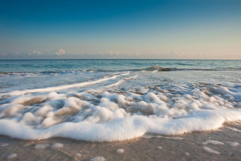 Ride the Tide [Definition + Examples] - Phoenix English