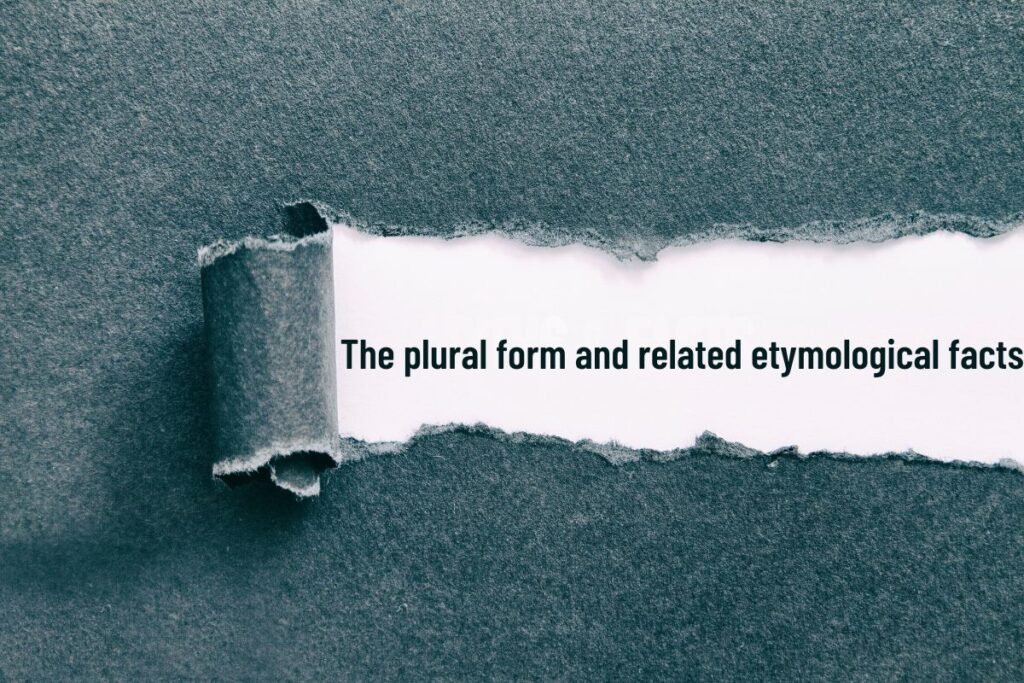 “Humans” or “Humen”? Which One Is Correct? - Phoenix English