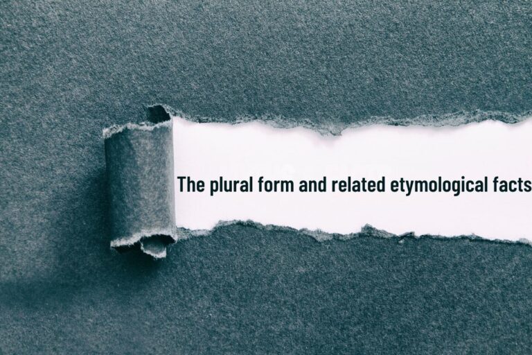 “Humans” or “Humen”? Which One Is Correct? - Phoenix English
