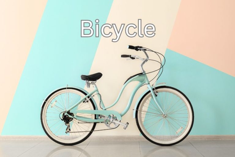 Full List Of Words That Start With Bi + Examples [2025] - Phoenix English