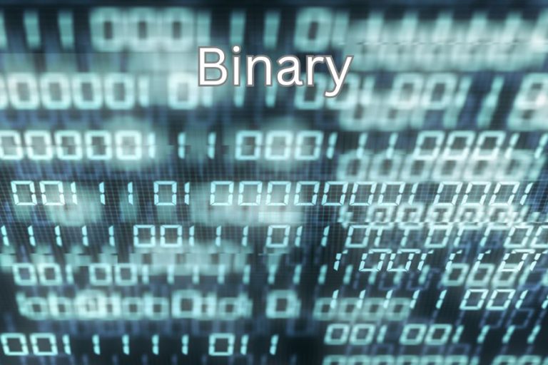 Full List Of Words That Start With Bi + Examples [2025] - Phoenix English