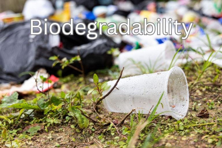 Full List Of Words That Start With Bi + Examples [2025] - Phoenix English