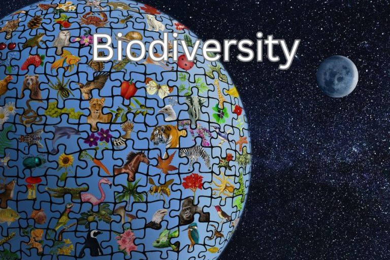 Full List Of Words That Start With Bi + Examples [2025] - Phoenix English