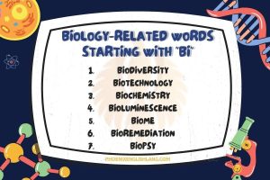 Full List Of Words That Start With Bi + Examples [2025] - Phoenix English