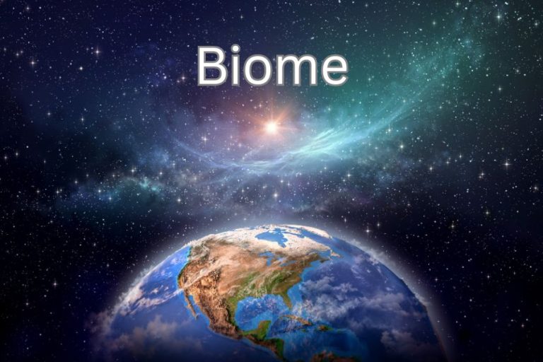 Full List Of Words That Start With Bi + Examples [2025] - Phoenix English