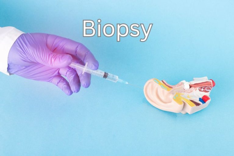 Full List Of Words That Start With Bi + Examples [2025] - Phoenix English