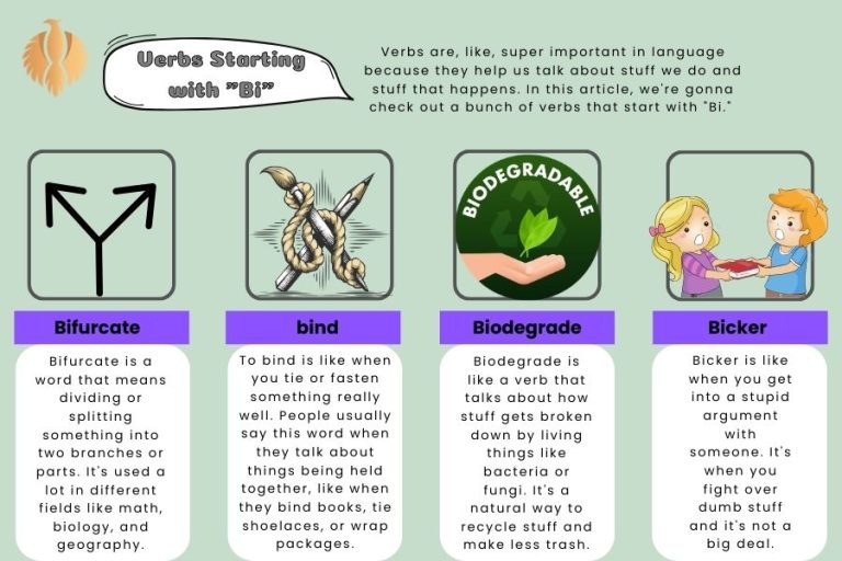 Full List Of Words That Start With Bi + Examples [2025] - Phoenix English