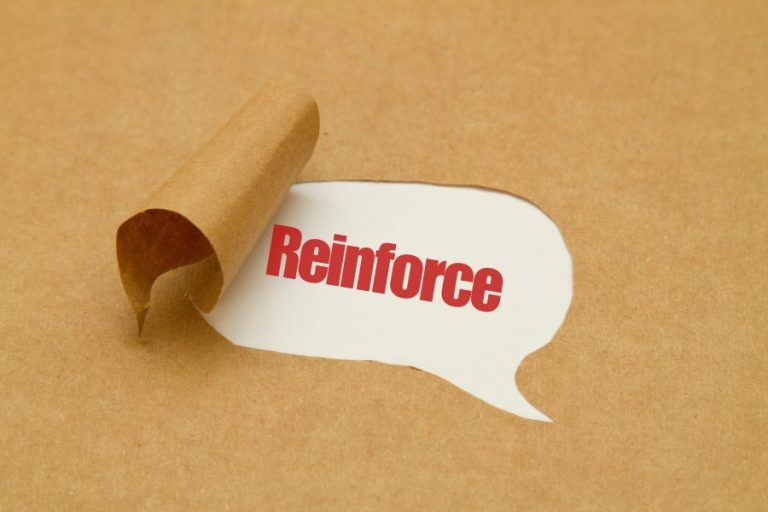 Reinforce Vs Reenforce: 10 Differences + Examples [2025] - Phoenix English