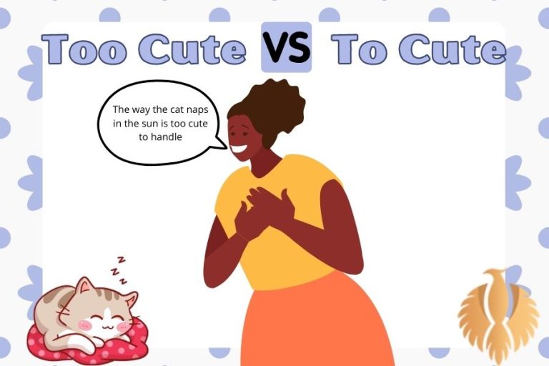 Too Cute Meaning Vs To Cute (To Vs Too) + Examples - Phoenix English