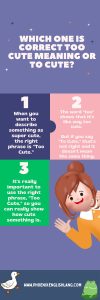 Too Cute Meaning Vs To Cute (To Vs Too) + Examples - Phoenix English