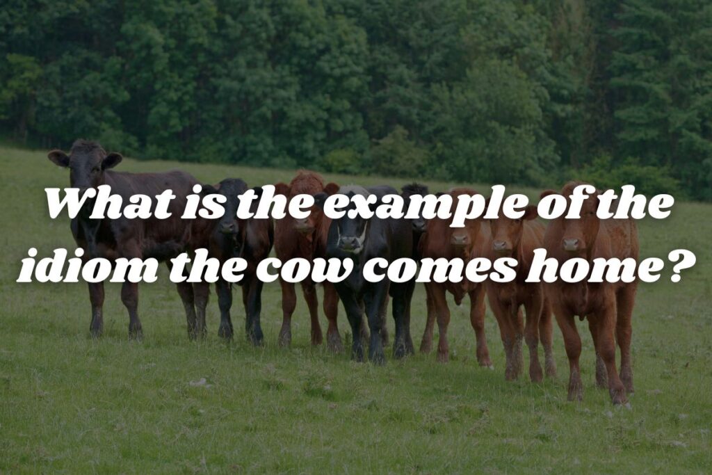 100 "Home" Idioms and Expressions In 2024 - Phoenix English