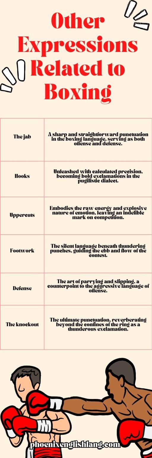 Top 20 Boxing Expressions You Need to Check in English - Phoenix English