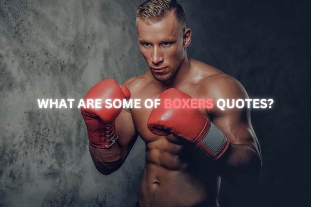 Top 20 Boxing Expressions You Need to Check in English - Phoenix English