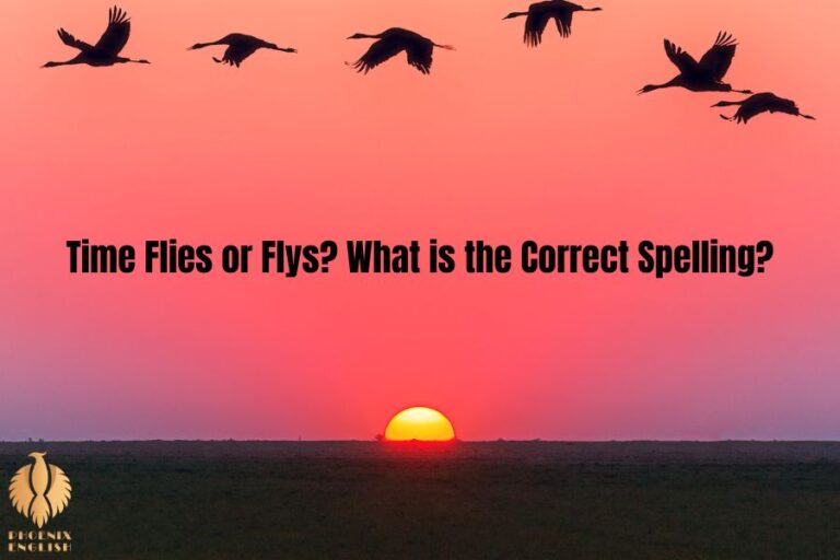 Time Flies or Flys? What Is The Correct Spelling? - Phoenix English