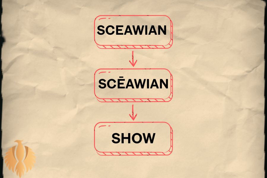 "Shown" Or "Showed" – Difference + 2025 Examples - Phoenix English